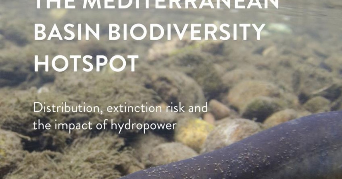 Threatened Freshwater Fishes of the Mediterranean Basin Biodiversity ...
