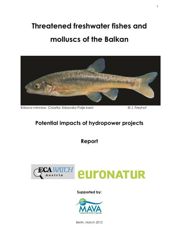 Studies | Save the Blue Heart of Europe