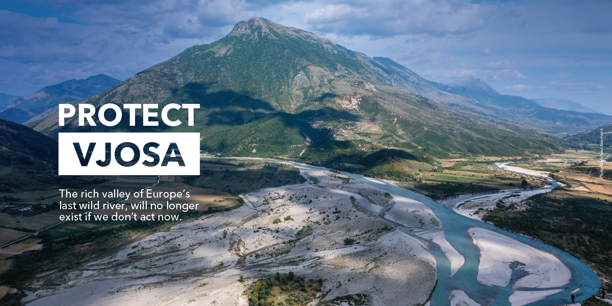 PETITION: Vjosa National Park, the only way to save Vjosa | Save the ...