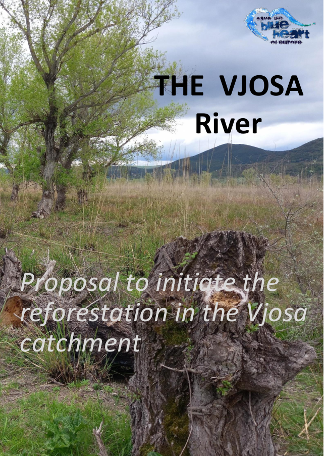 Study: Reforestation proposal for the Vjosa catchment | Save the Blue ...