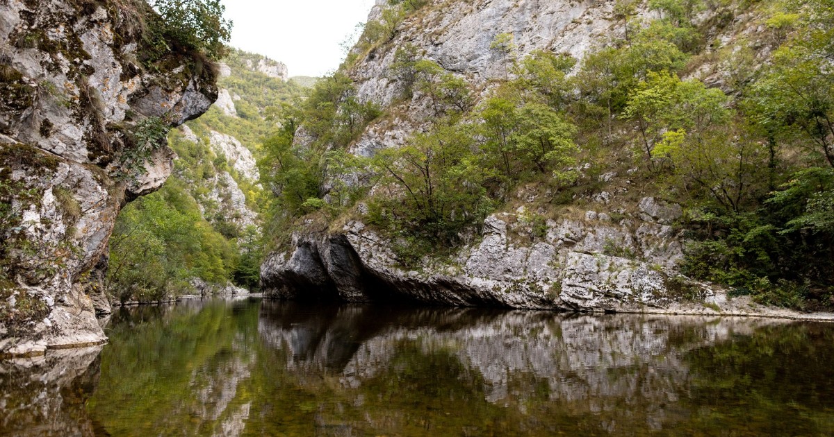 Victory for Nature: The Rzav River (BiH) Flows Free! | Save the Blue ...