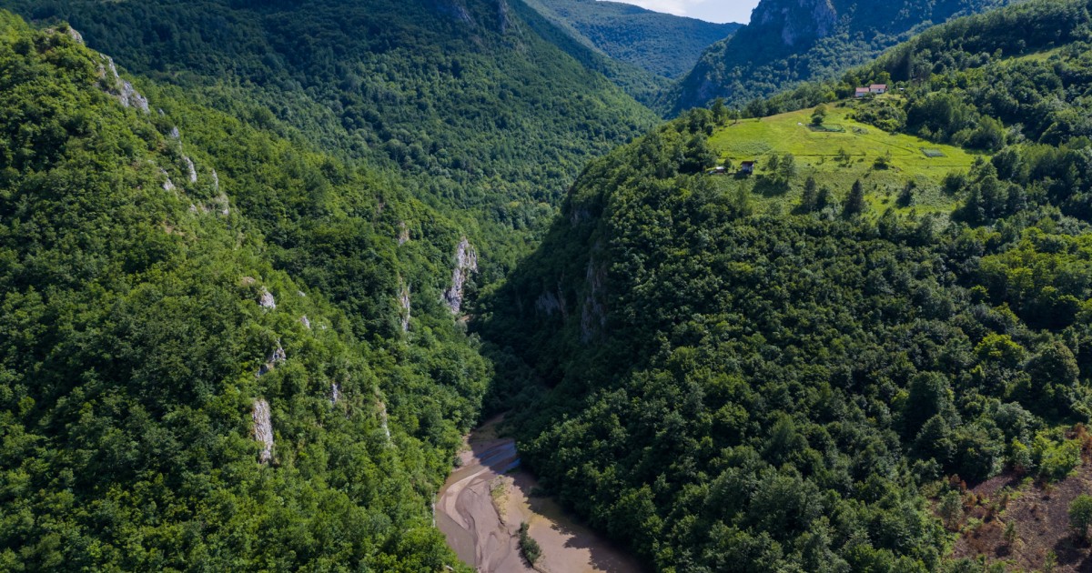 Victory for the Janjina River – a tributary of the Drina stays free ...