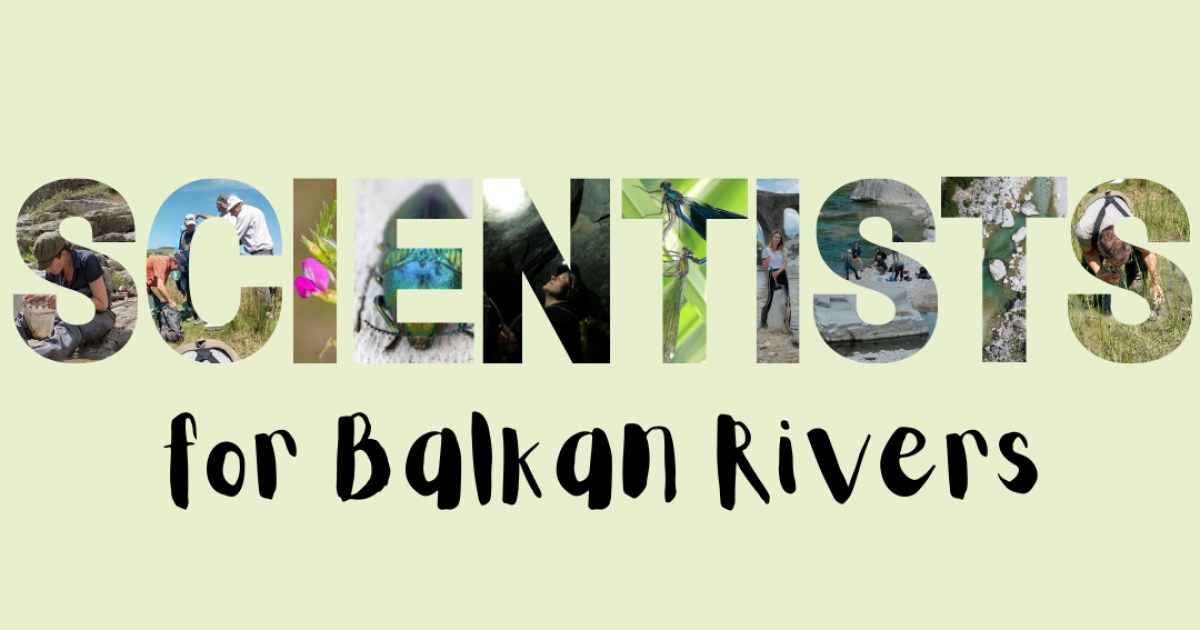 Scientists for Balkan Rivers | Save the Blue Heart of Europe