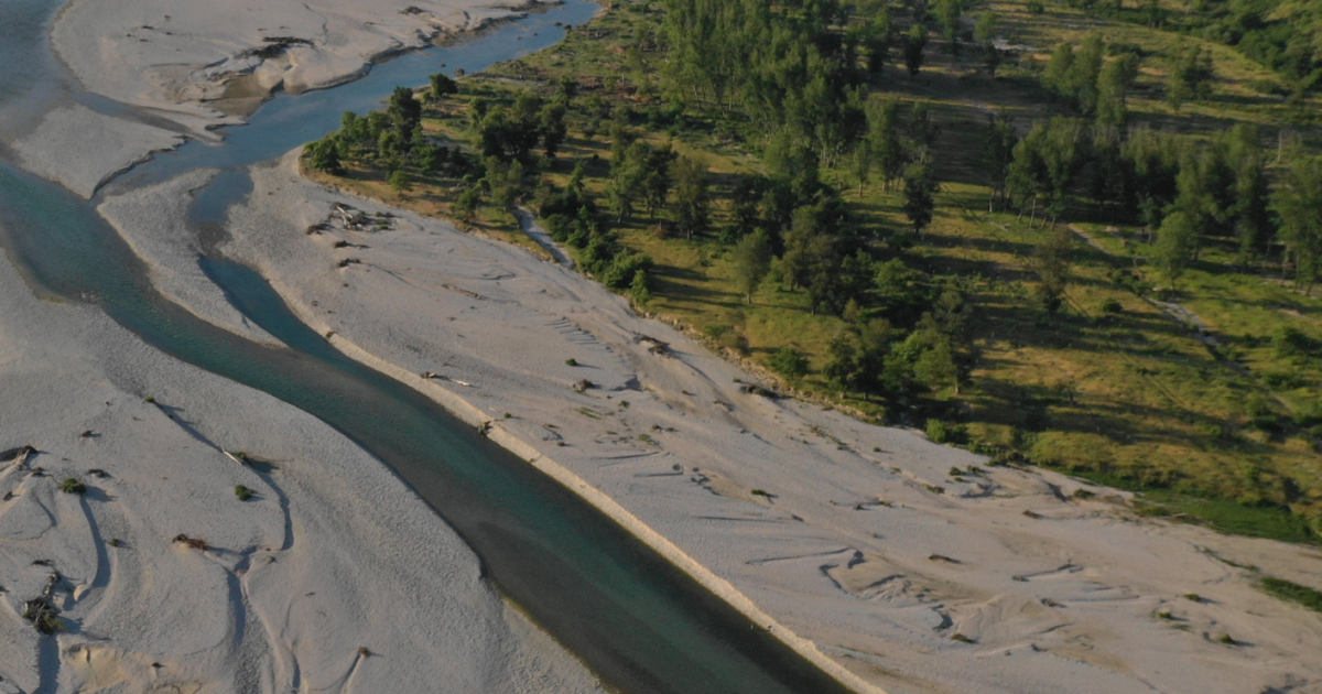 Vjosa Reforestation Study | Save the Blue Heart of Europe