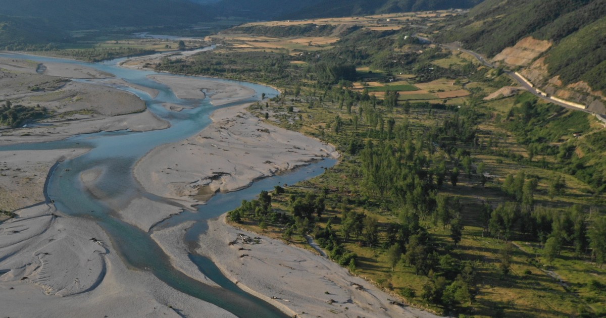 New study on the forest situation in the Vjosa basin | Save the Blue ...