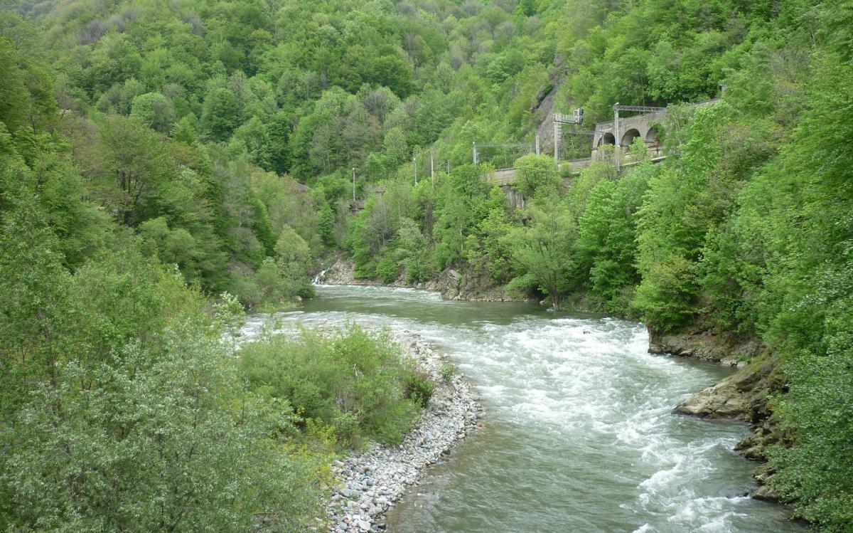 Save Defileul Jiului National Park (Romania) | Save the Blue Heart of ...