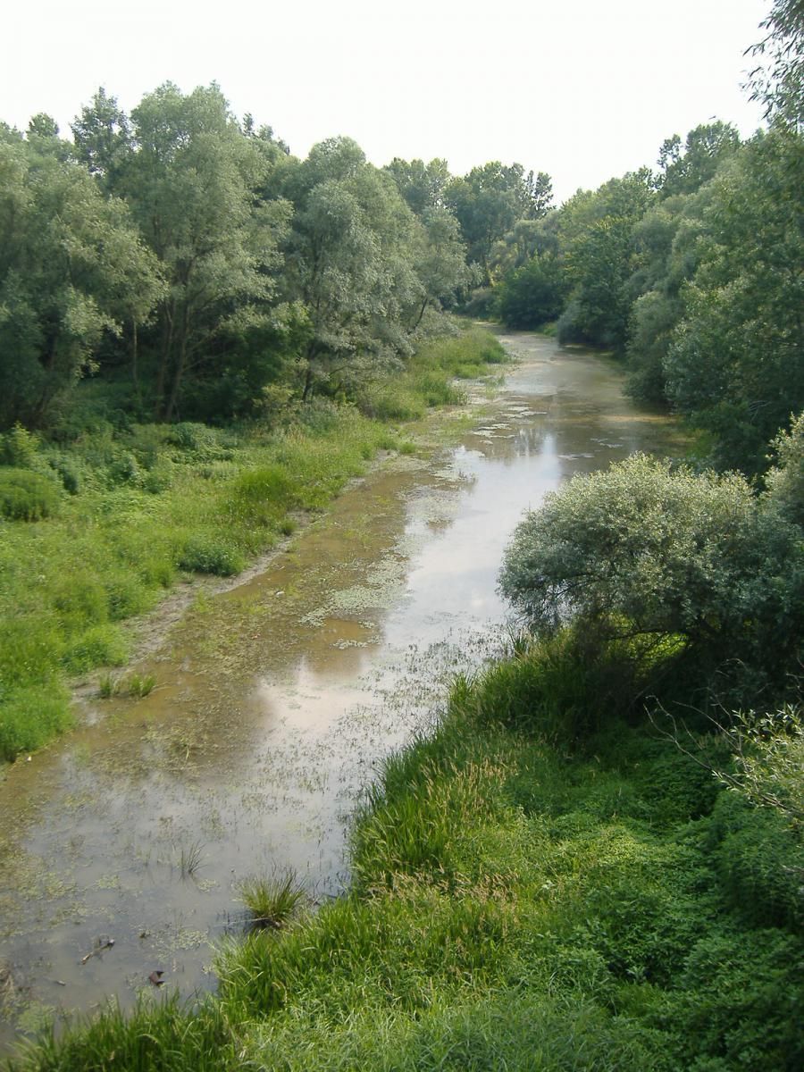 Mehr bedrohte Balkanflüsse | Save the Blue Heart of Europe