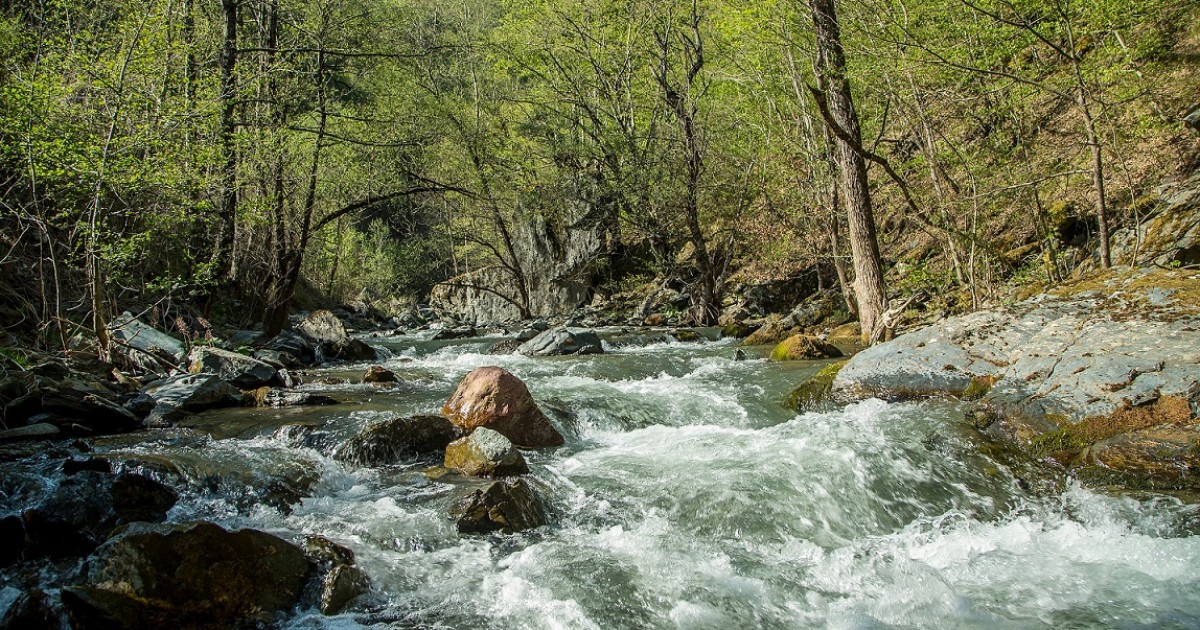 Historic decision for rivers in Bosnia & Herzegovina | Save the Blue ...